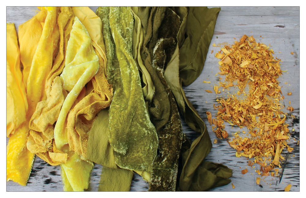 Natural Palettes Inspiration from Plant-Based Color | Princeton ...