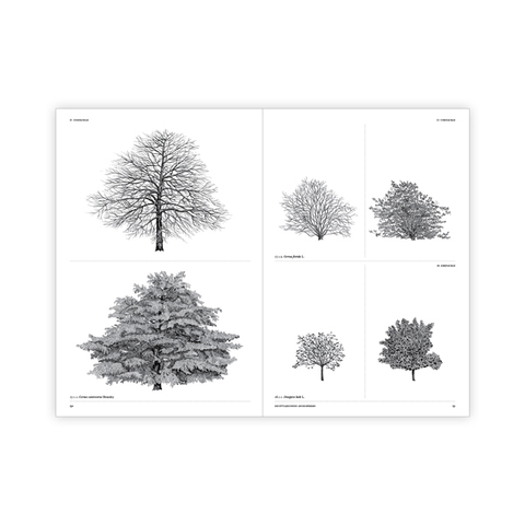 The Architecture of Trees | Princeton Architectural Press – PA Press