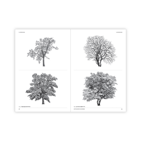 The Architecture of Trees | Princeton Architectural Press – PA Press