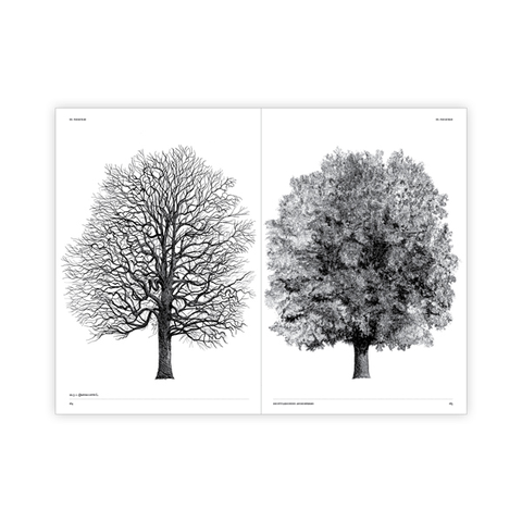 The Architecture of Trees | Princeton Architectural Press – PA Press