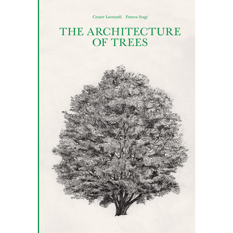 how to draw trees landscape architecture