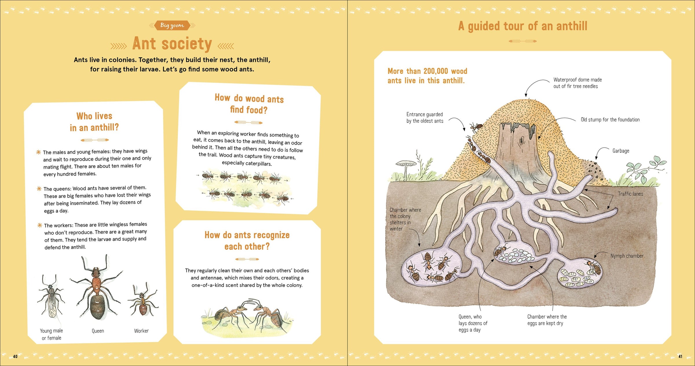 The Book of Tiny Creatures