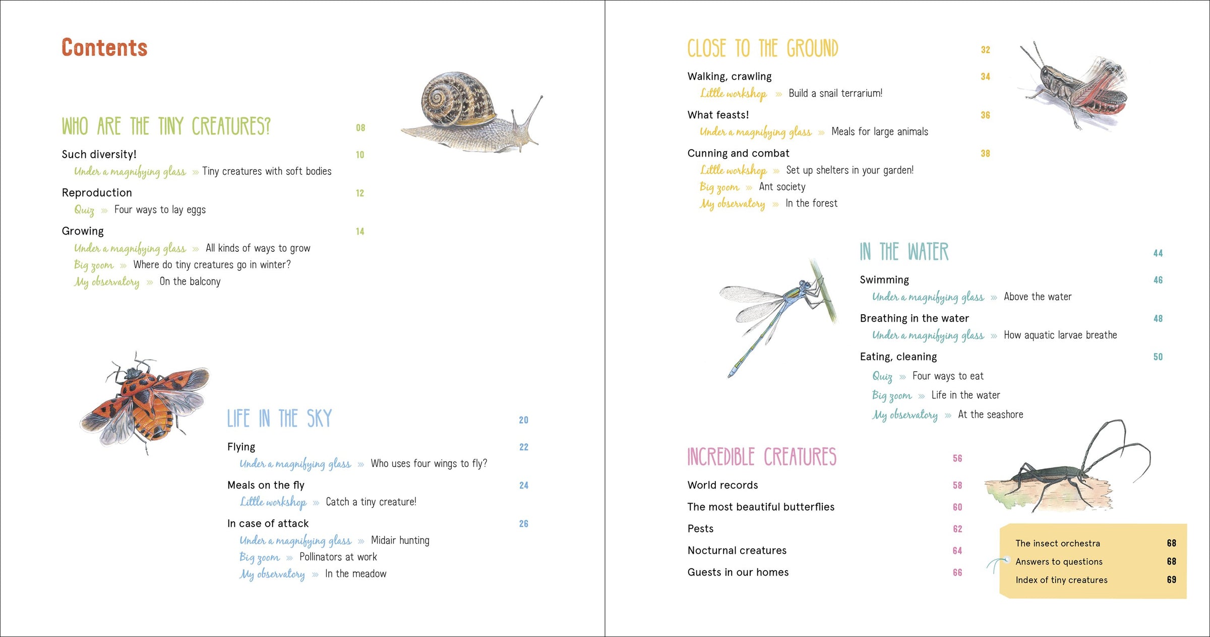 The Book of Tiny Creatures