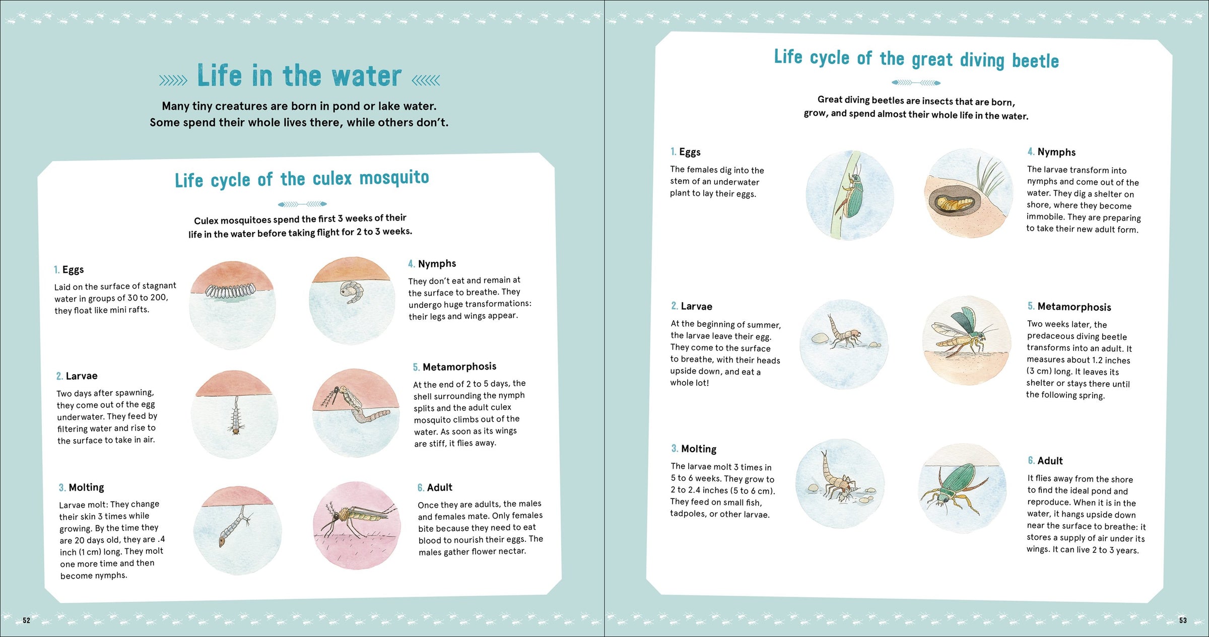 The Book of Tiny Creatures